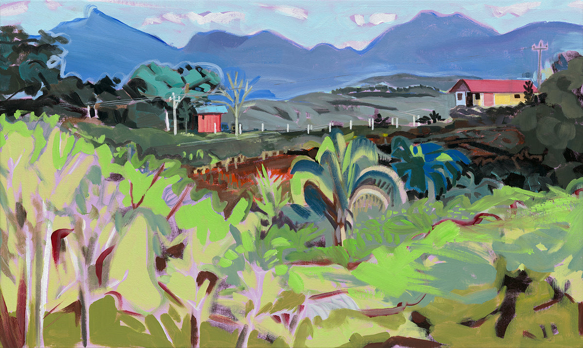 Costa Rica – Lindy Bishop Art
